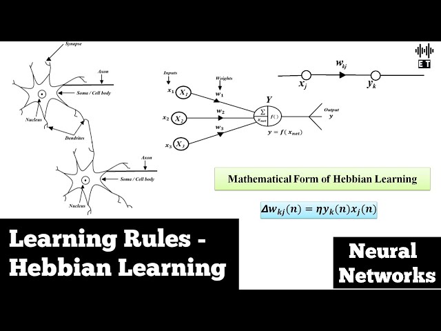 What is Hebbian Learning | AI Basics | AI Online Course