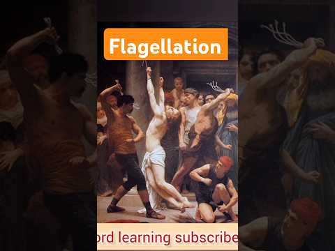 Flagellation #vocabulary #new #dailywords #english #learning #flagellation @lexicallearningwithme