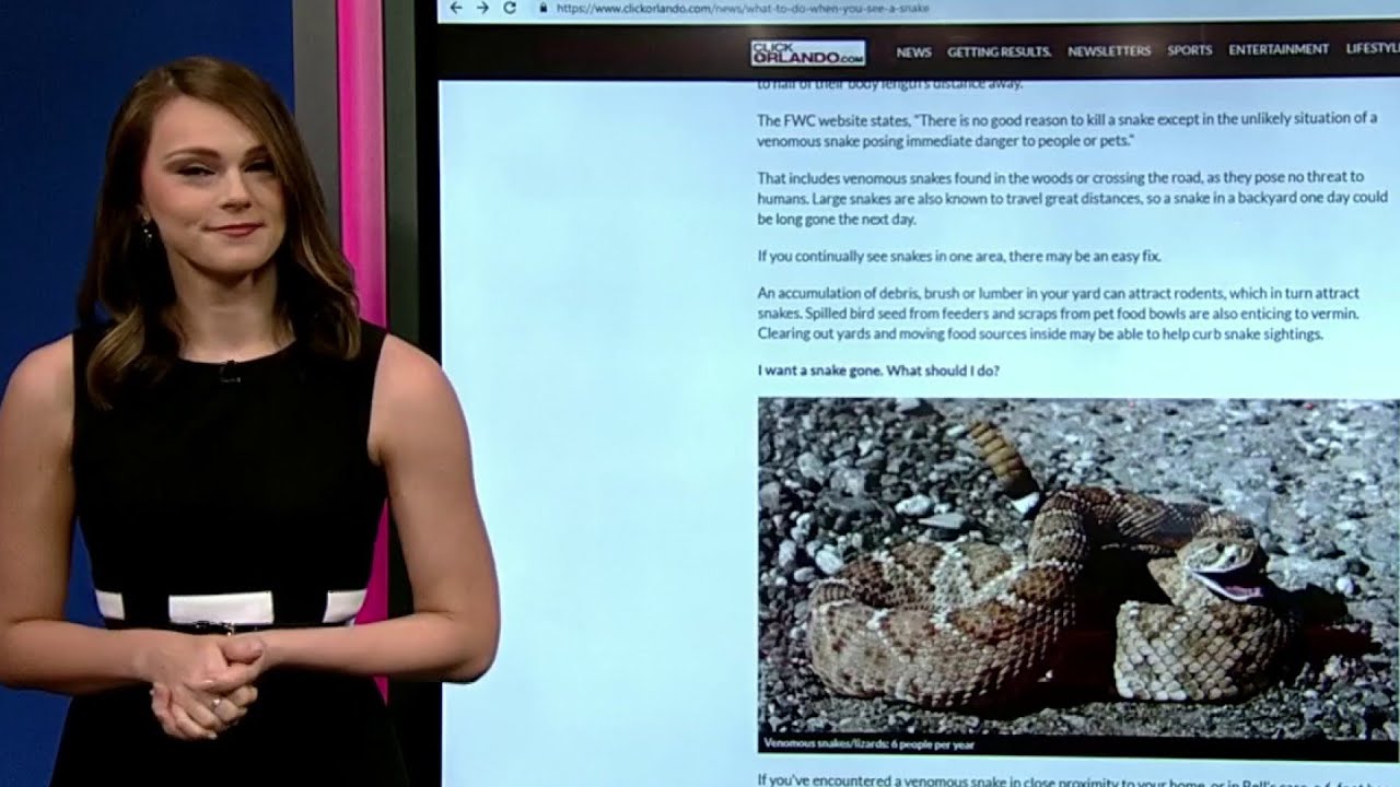 Which Florida snakes to avoid