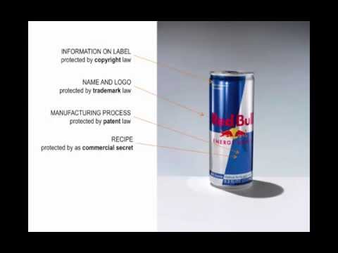 Business Law 8.1: Intellectual Property Law