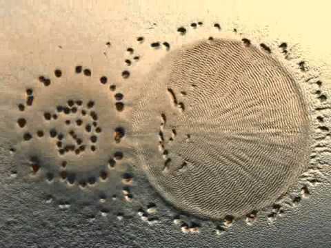 New Myxococcus Species: Myxococcus WTF? | Mike the Mad Biologist