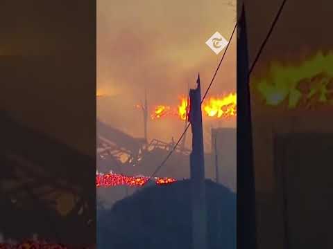Wildfires whip through in Chile destroying homes and farmland