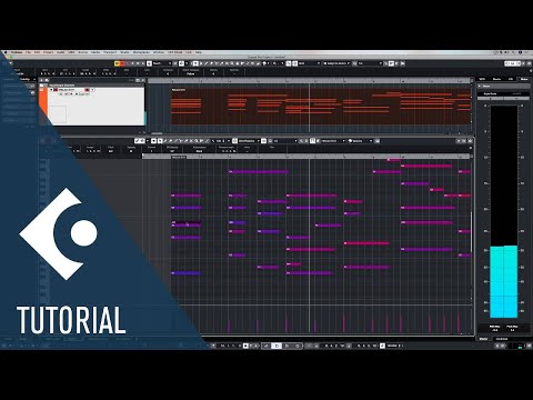 Editors Keys Keyboard Skin Cubase iMuso