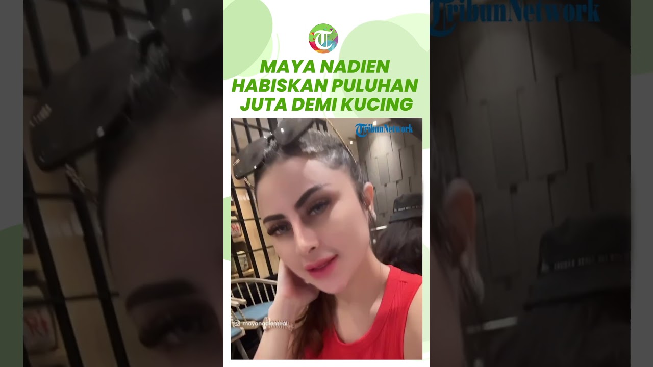 Maya Nadien Rela Habiskan Puluhan Juta demi Pelihara Kucing! Akui Jadi ...
