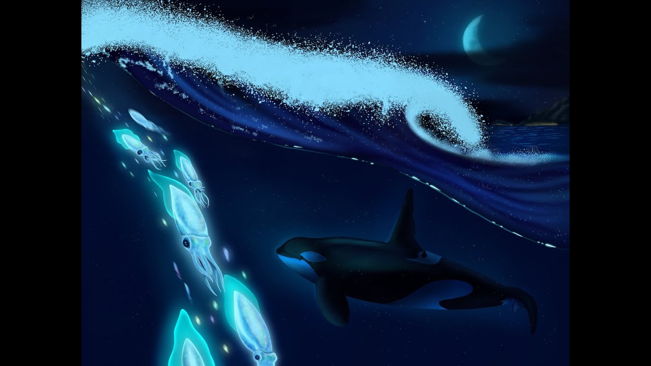 Orca Speedpainting - Procreate Time-lapse