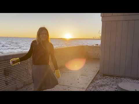 Singer-songwriter allie Releases Second Studio Album Every Dog