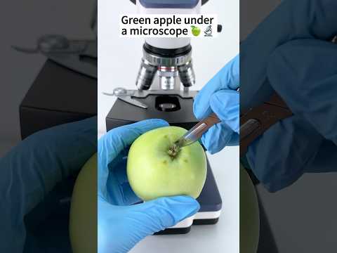 Green apple A Hidden World Under the Microscope – Bacteria Close-Up #microscope #science #biology