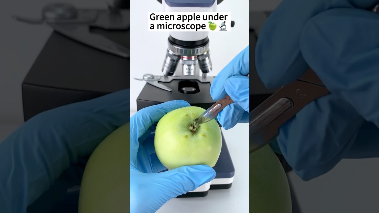 Green apple A Hidden World Under the Microscope – Bacteria Close-Up #microscope #science #biology