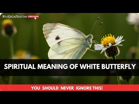 Spiritual Meaning of White Butterfly
