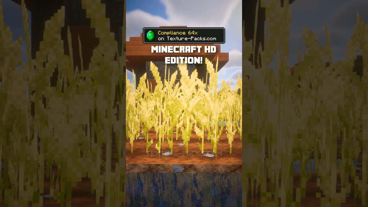 🥇 Minecraft Texture Pack Compliance 64x vs Vanilla