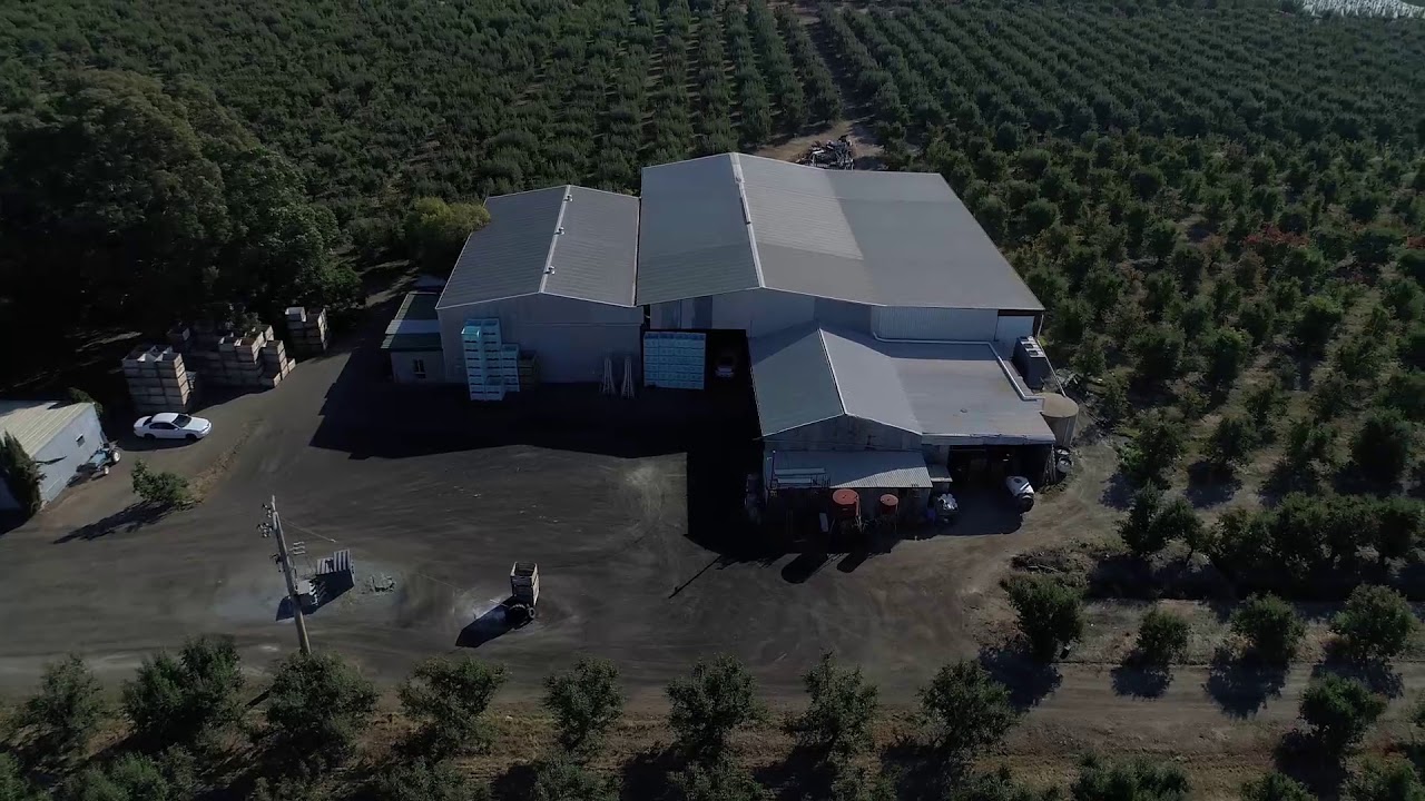 Iconic Shepparton East Pear Orchard
