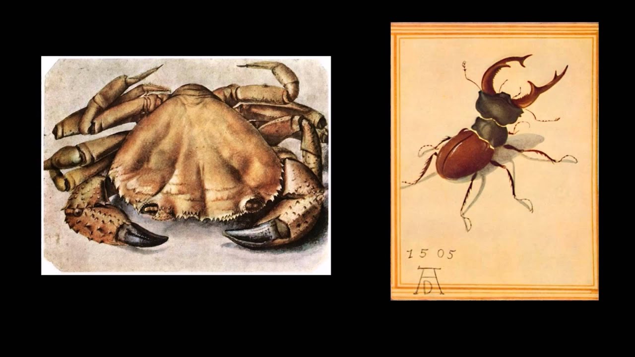 Albrecht Durer (1471-1528) 1/2 Art Lecture by dr. christian conrad