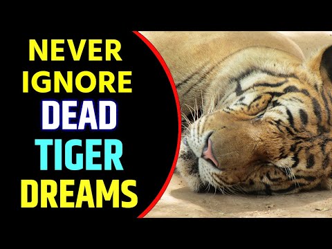 Dead Tiger in Dream Meaning | Dreaming of Dead Tiger | Dead Tiger in Dream Interpretation
