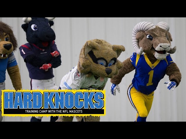 5 most popular mascot names in the NFL