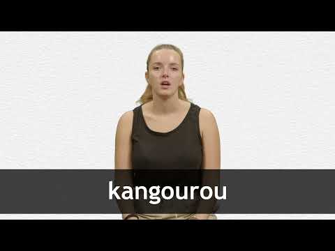 English Translation of “KANGOUROU” | Collins French-English Dictionary