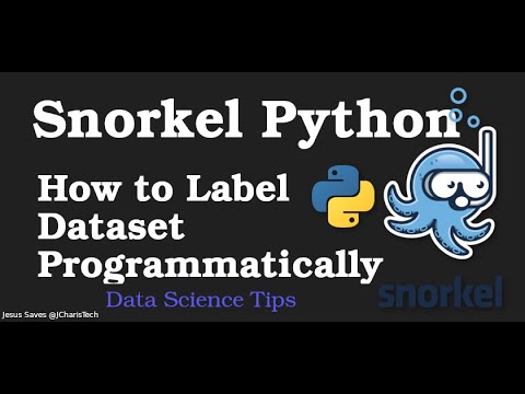 Snorkel Python Tutorial - Labeling Datasets Programmatically