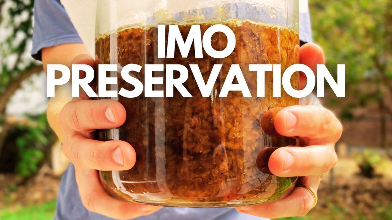 A Beginner's Guide to IMO2