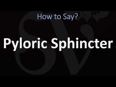 How to Pronounce Pyloric Shpincter? (CORRECTLY)