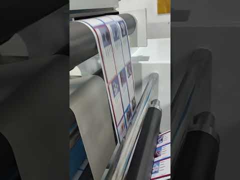 Color Label Printing Machine at Best Price in India