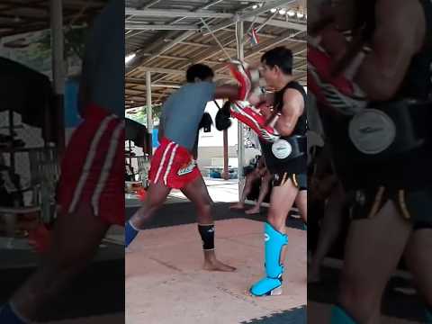 ALWAYS Hit Pads hard as you can! Muay Thai Padwork in Thailand 🇹🇠Sitjaopho MuayThai #muaythai