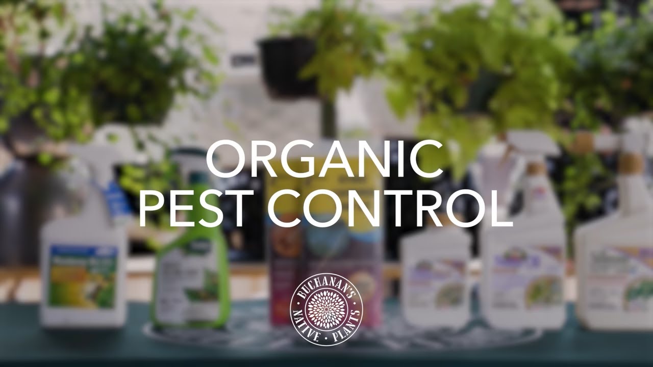 Organic Pest Control for Garden and Plants | Houston Texas