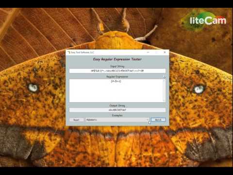 Easy Regular Expression Tester - easytoolsoftware.com