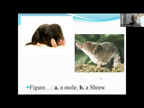 Classification of Mammals 2. July 6, 2023