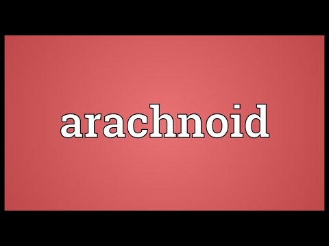 Arachnoid Meaning