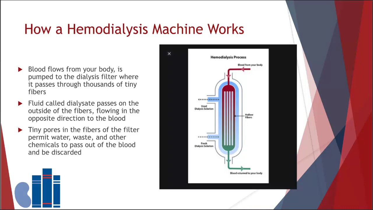 Dialysis Access: What Every Patient Should Know