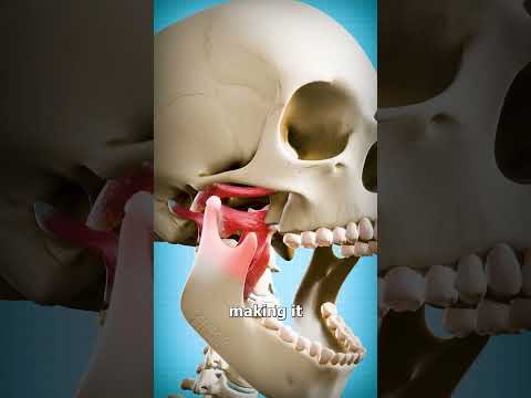 How To Fix A Dislocated Jaw 😨