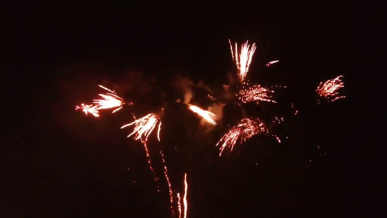 Z Shape Brocade Tail Spit Brocade Waterfall With Red/ Green Strobe Pistil WPL25CA81-01-A test