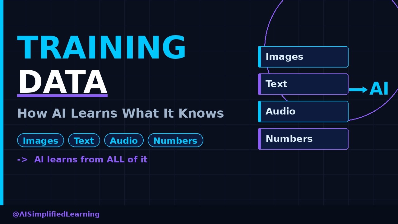 What Is Training Data? (How AI Learns What It Knows)