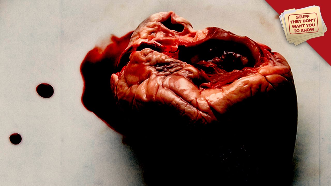 5 Types of Cannibalism