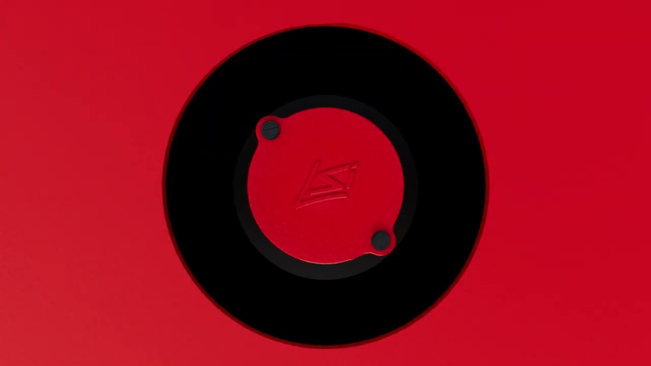 LSI REDiMount Animation