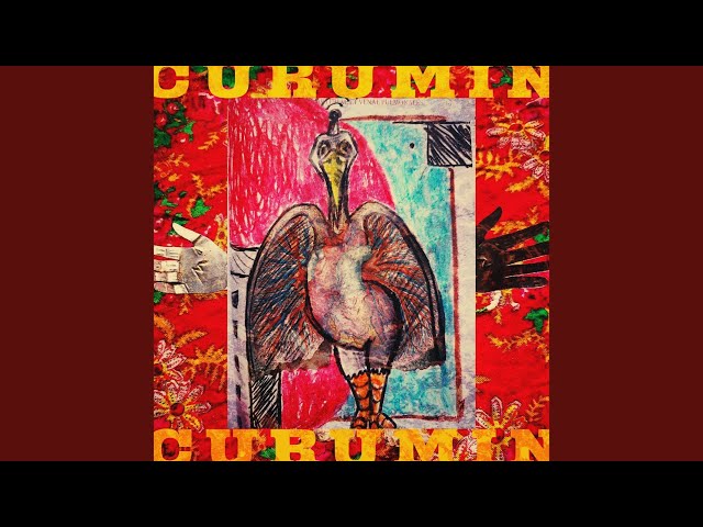 Curumin quer retorno à natureza em novo álbum: 'Futuro mais próspero'