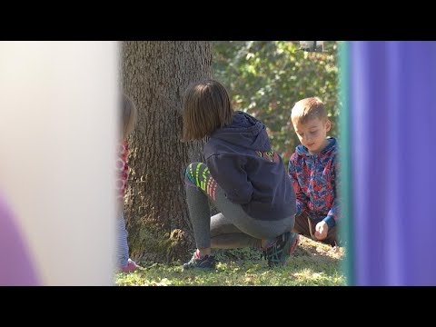 Backyard Bears | Nathan Vickers