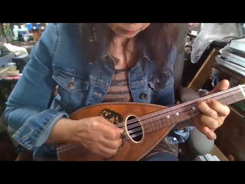 VINTAGE 12 STRING BOWLBACK MANDOLIN, READY TO PLAY**SEE VDO" | Reverb