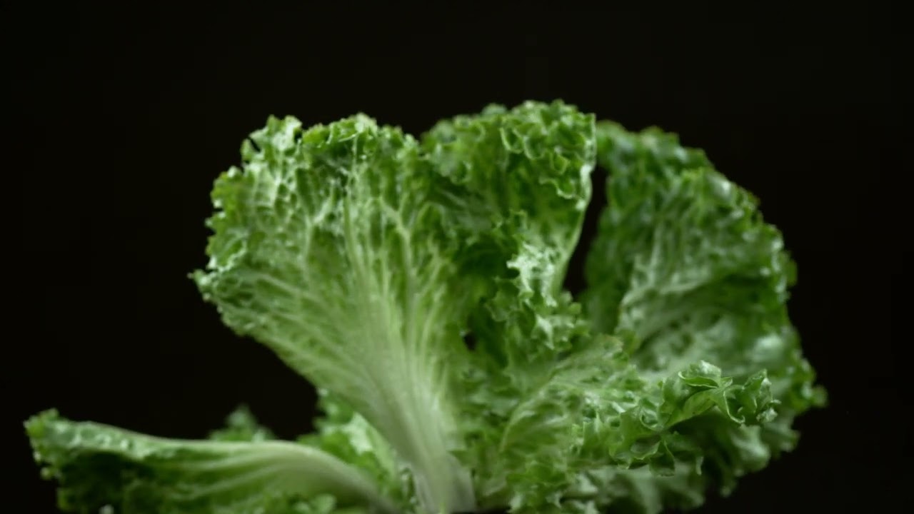DROPS SPIN BLACK BACKGROUND LETTUCE 4K