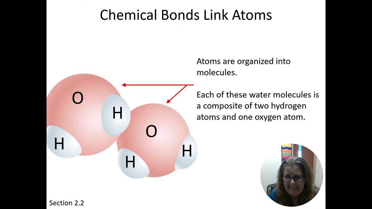 Bio 101 Ch2 PowerPoint Video