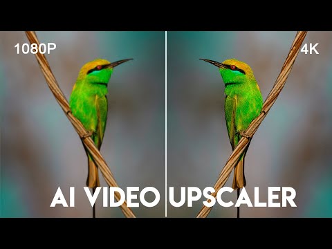 How to Upscale 1080p to 4K with the Best AI Video Upscaler 2024