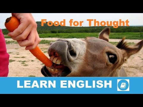 Food for Thought - English Idiom