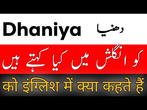 Dhaniya ko English mein kya kahate Hain | Dhaniya ka Matlab | Dhaniya Ka English, Dhaniya Ka Meaning