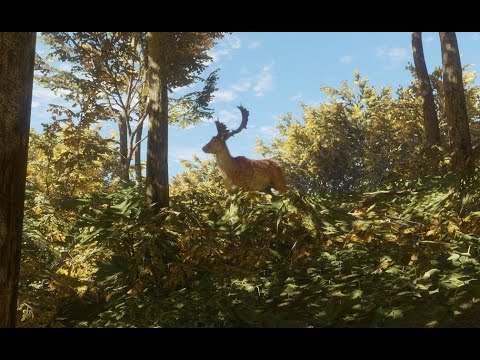 Steam Community :: Video :: the Hunter - Call of the Wild | Hunting ...