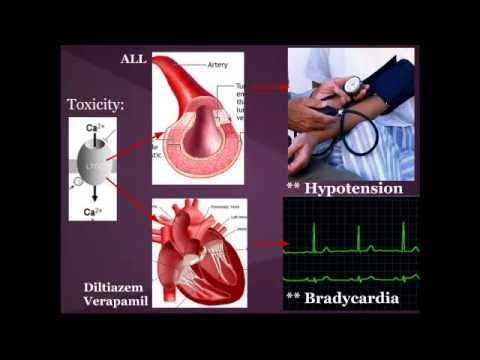 Calcium Chanel Blocker (CCB) Toxicity – EM in 5
