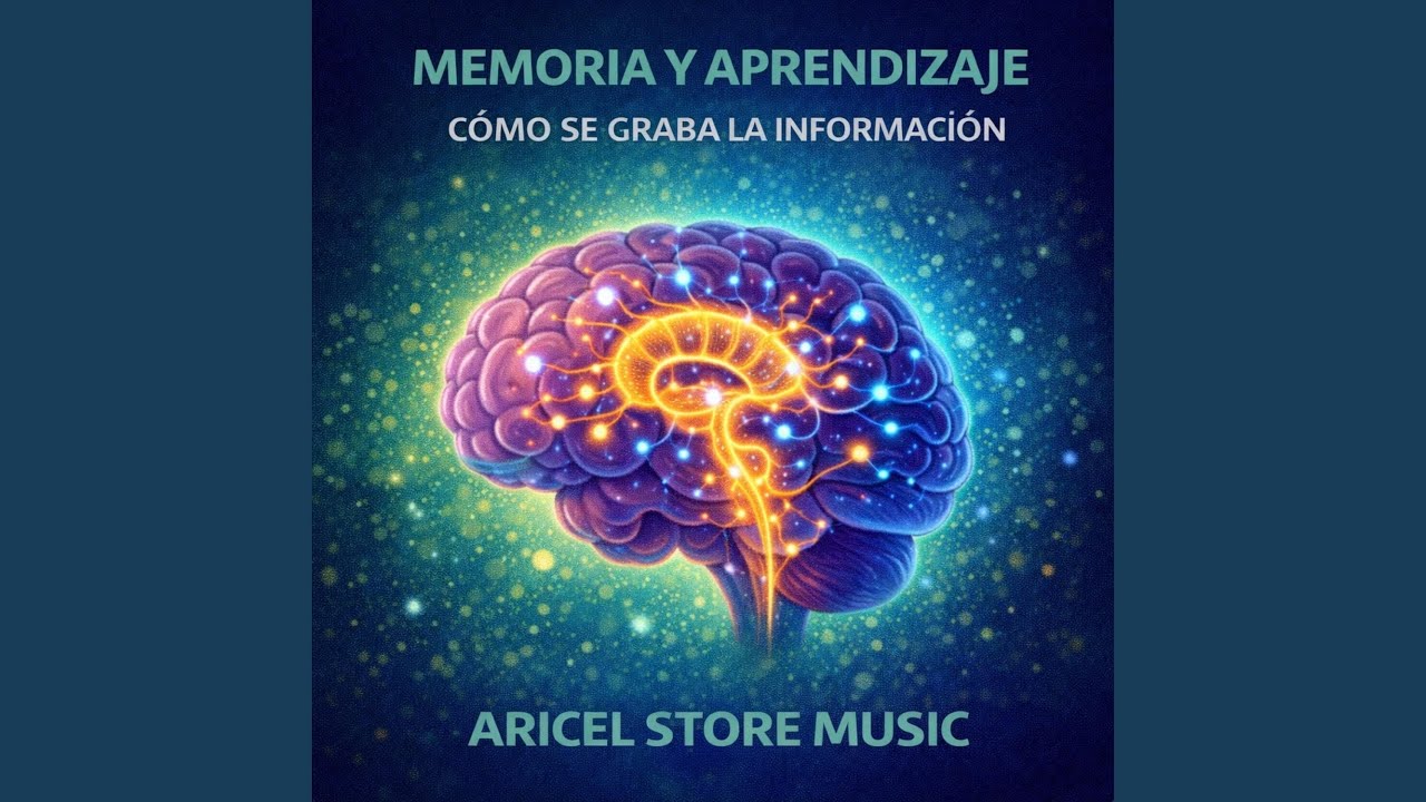Memoria y Aprendizaje (Flow Educativo)
