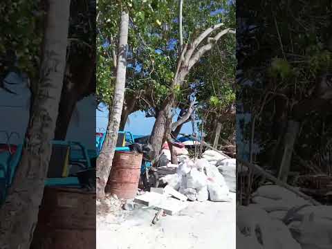 ATHIRI beach β±οΈ Dhigurah island ποΈ Maldives π²π»π©·βΊοΈποΈ Maldives π²π»π©·βΊοΈπ©·β€οΈπ³π³ππππ³π₯π³π³π₯π₯π₯πβ€οΈβ₯οΈπ π β₯οΈπ₯π³π³π³π³π³π³π³