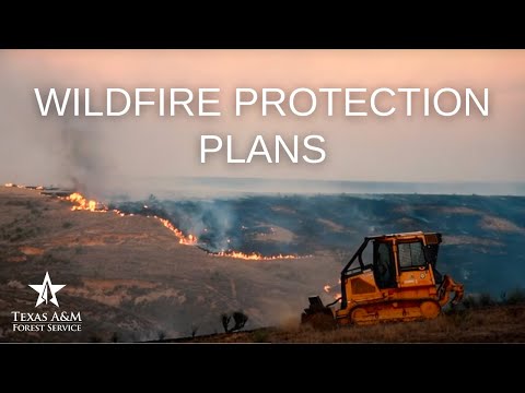 Community Wildfire Protection Plans - Working with TFS to Mitigate Wildfire Risk