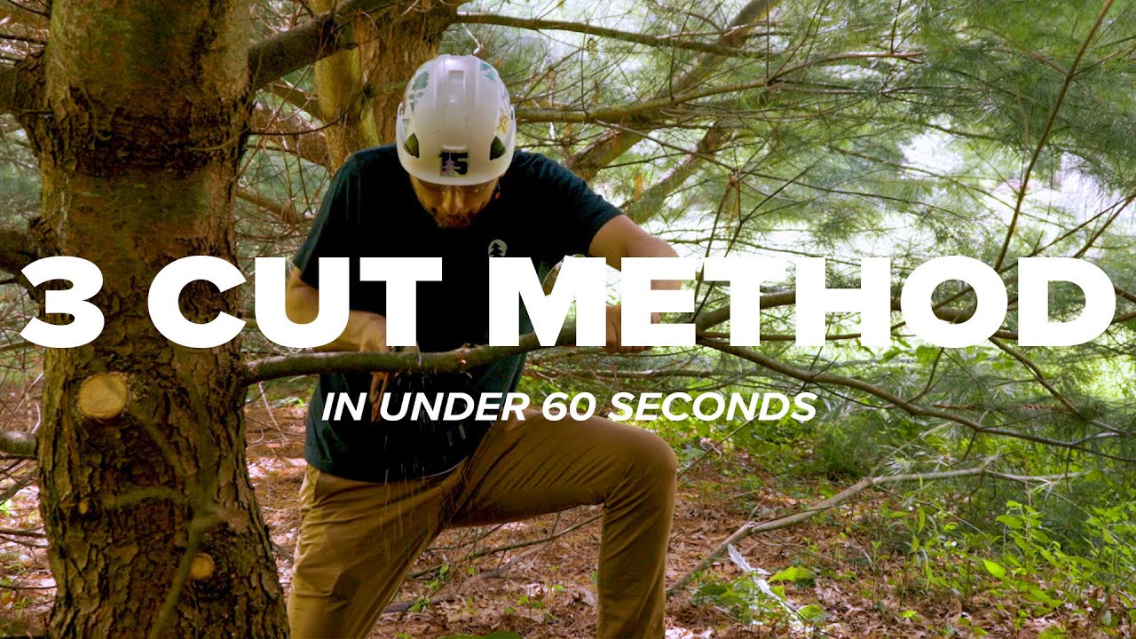 3 Cut Method in Under 60 Seconds