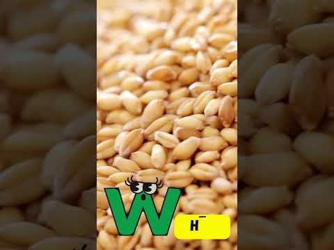 The 'W' Song πΆ | Fun ABC Learning with W Words for Kids | #abcd #kids #shorts #viralvideo #learning