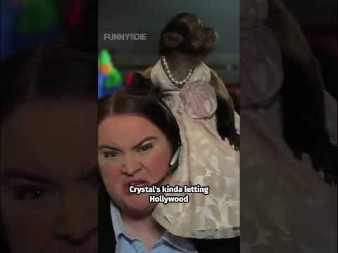 Monkey Agent: Is Hollywood Fame Causing Crystal's Erratic Behavior?